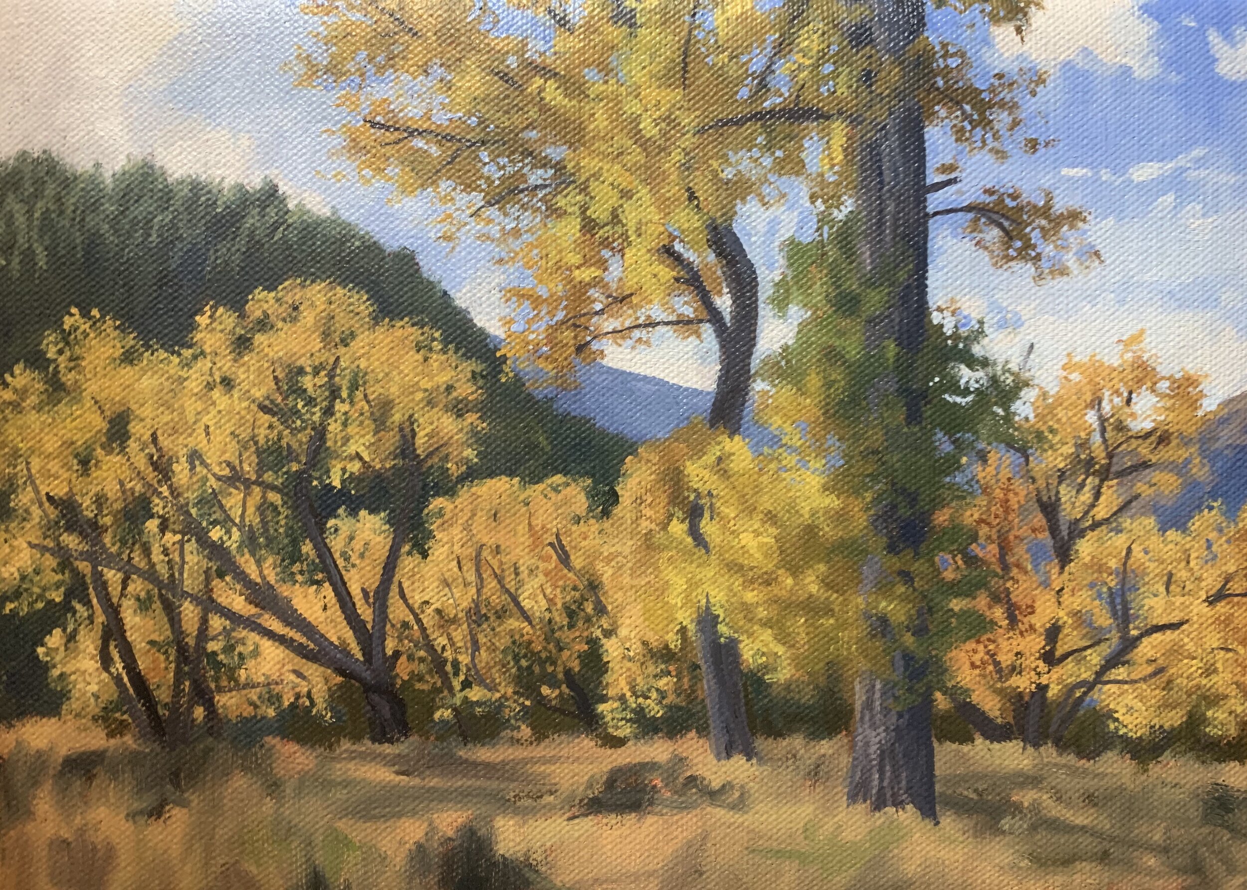 How to Paint Autumn Colours - Tips For Painting Trees and Leaves ...