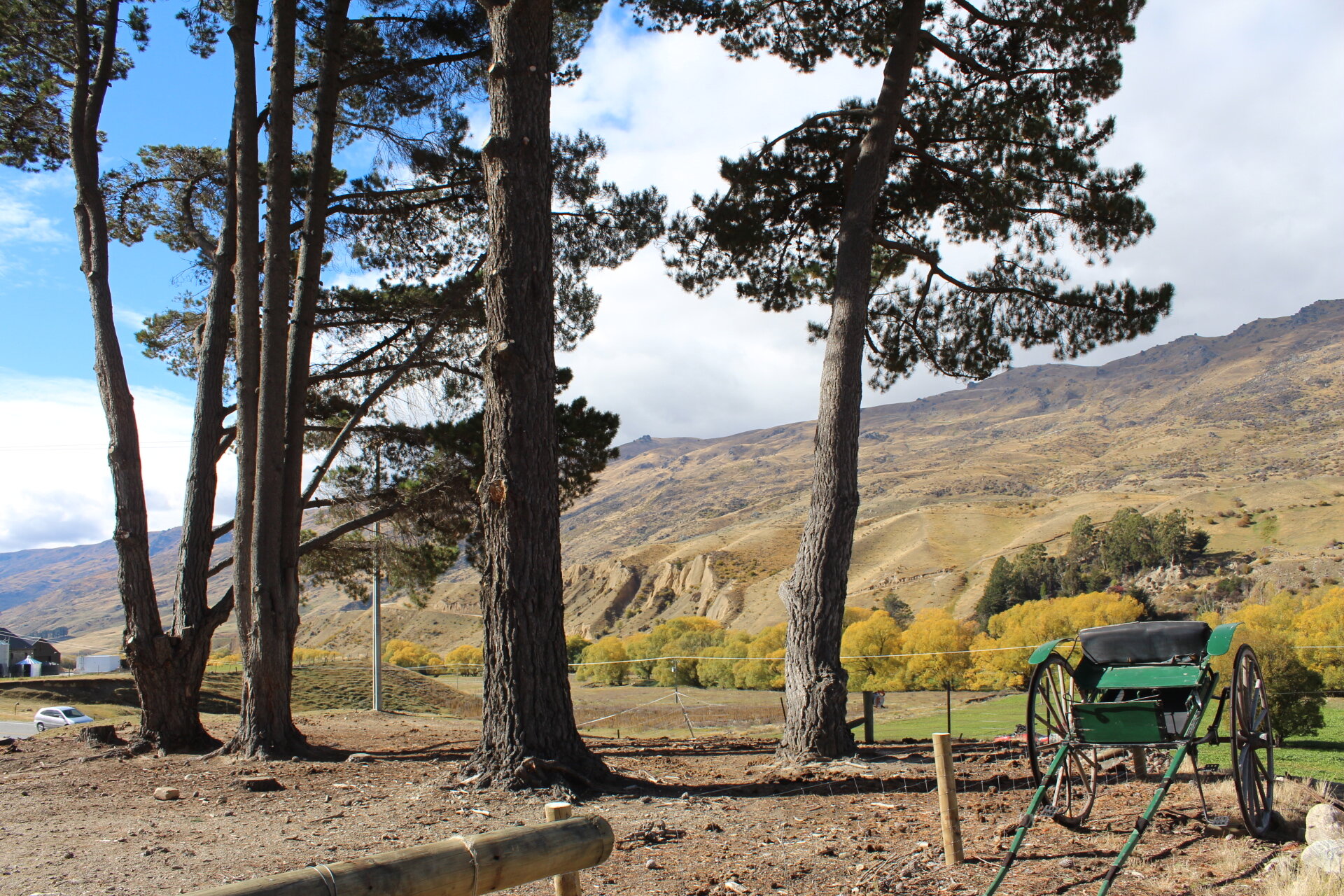How to Paint Pine Trees - Samuel Earp
