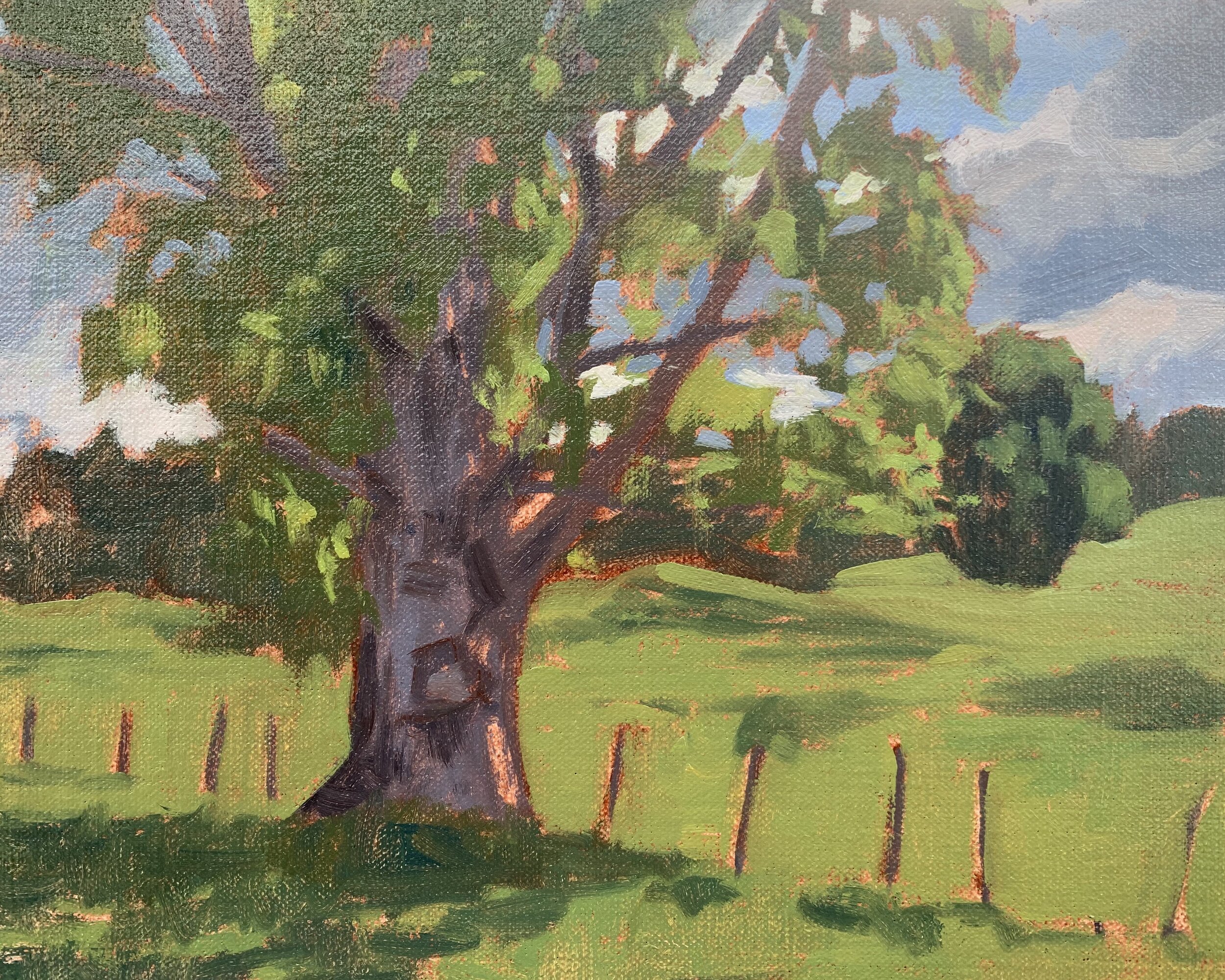 How to Paint Trees and Leaves - Samuel Earp