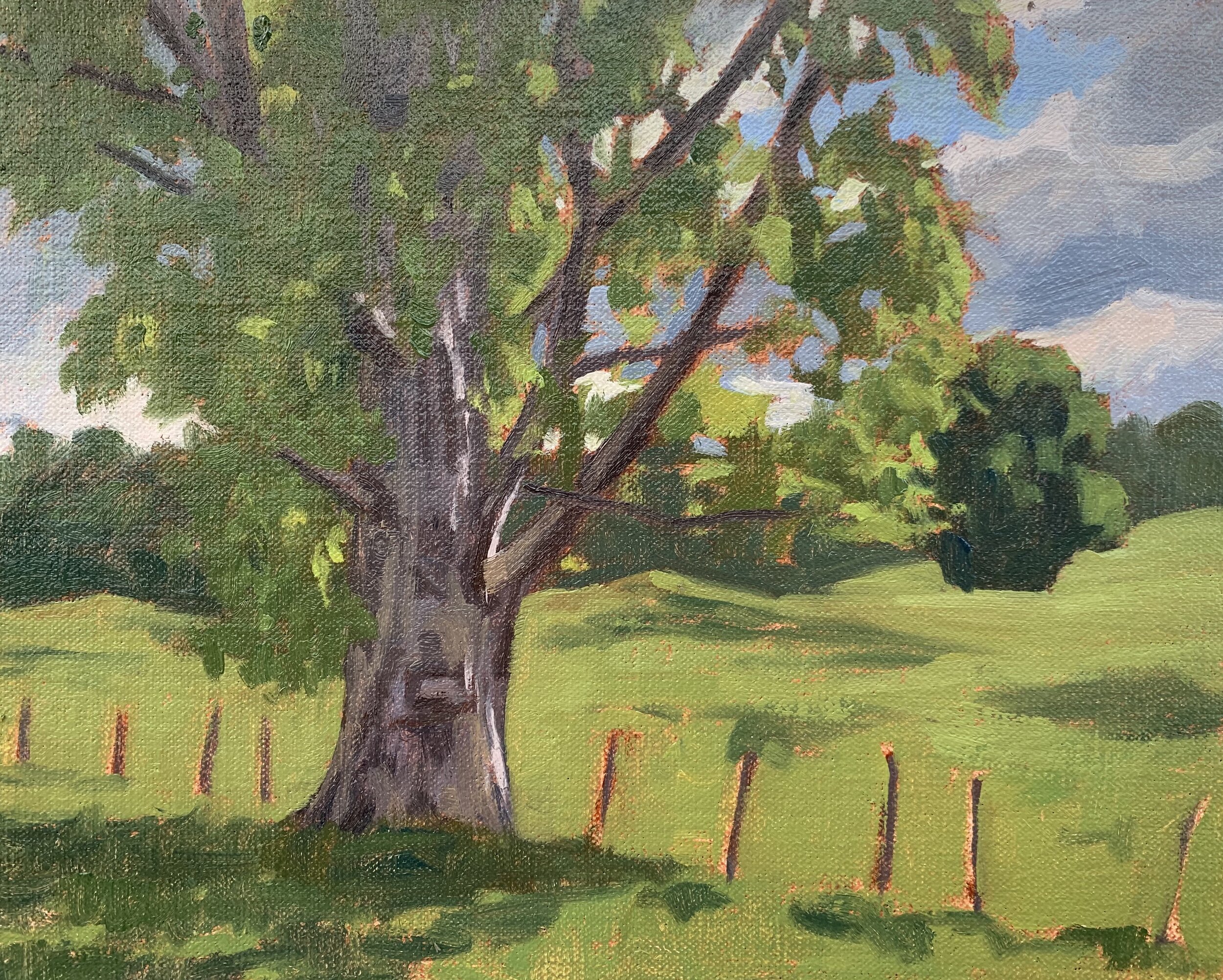 How to Paint Trees and Leaves - Samuel Earp