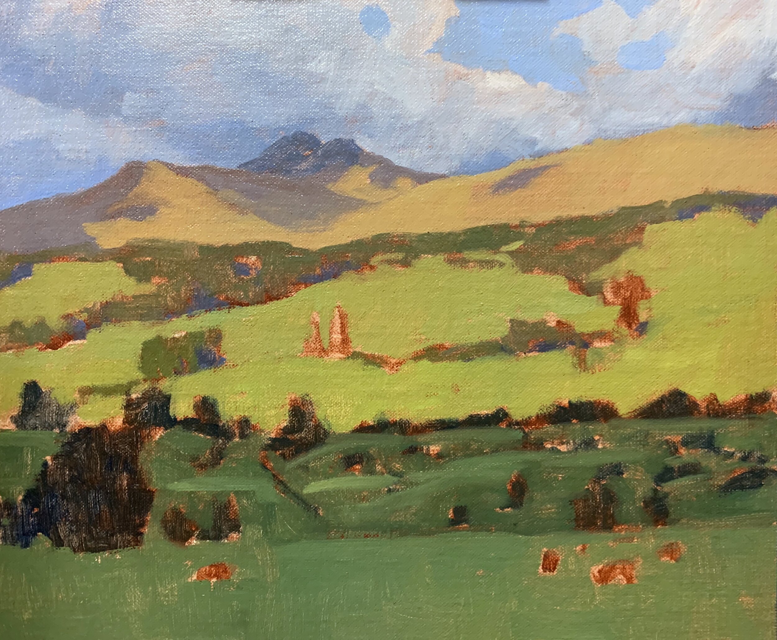 How to Paint Light and Shadow in a Landscape - Samuel Earp