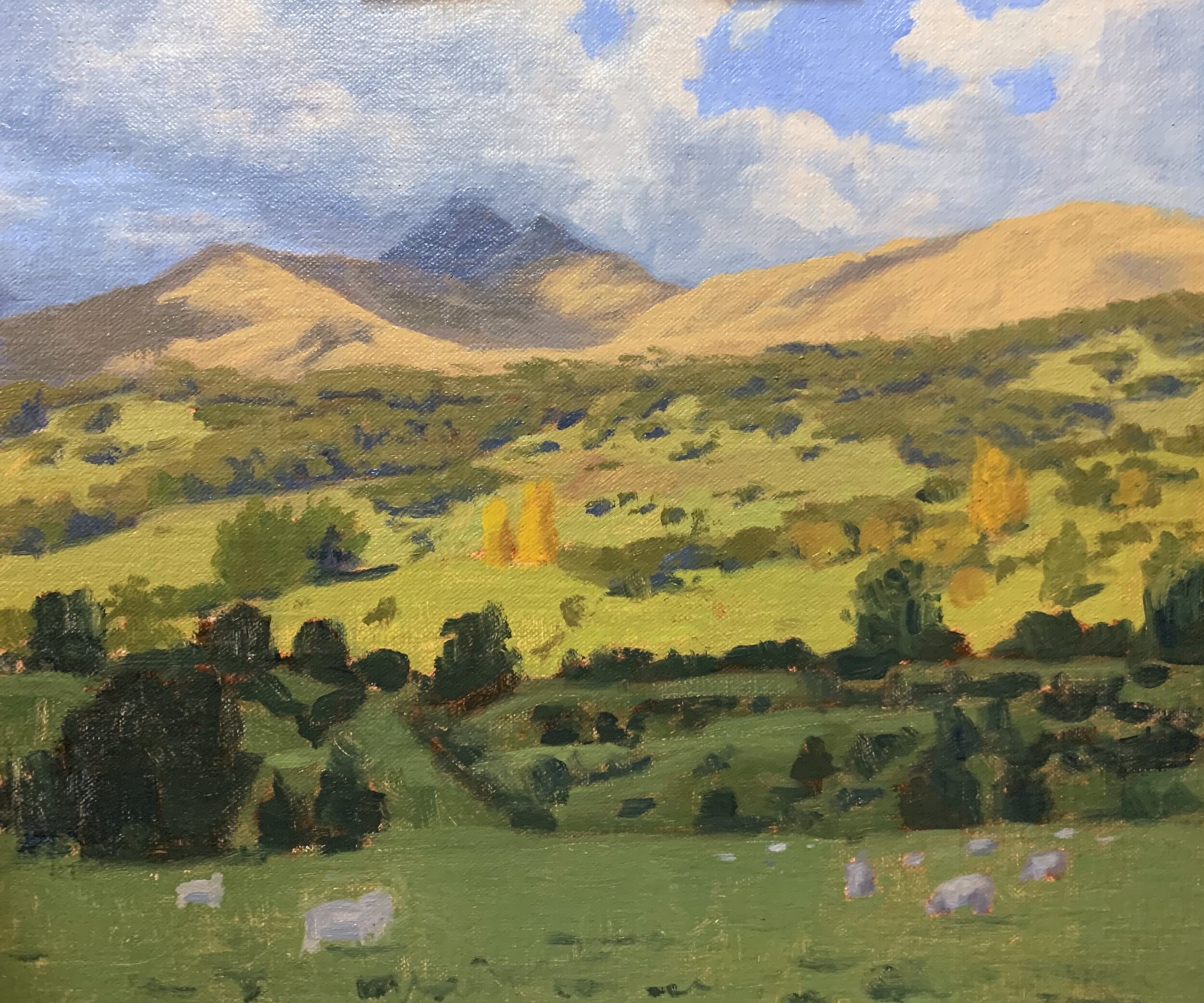 How to Paint Light and Shadow in a Landscape - Samuel Earp