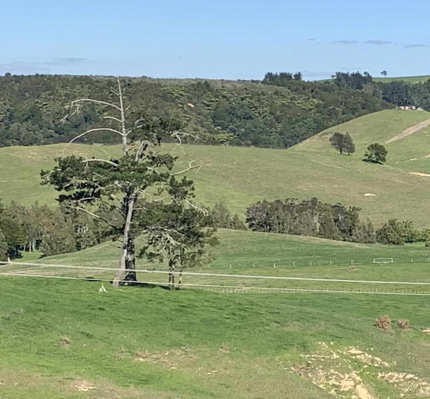 Plein Air - Trees and Fields - Lesson Notes - Samuel Earp