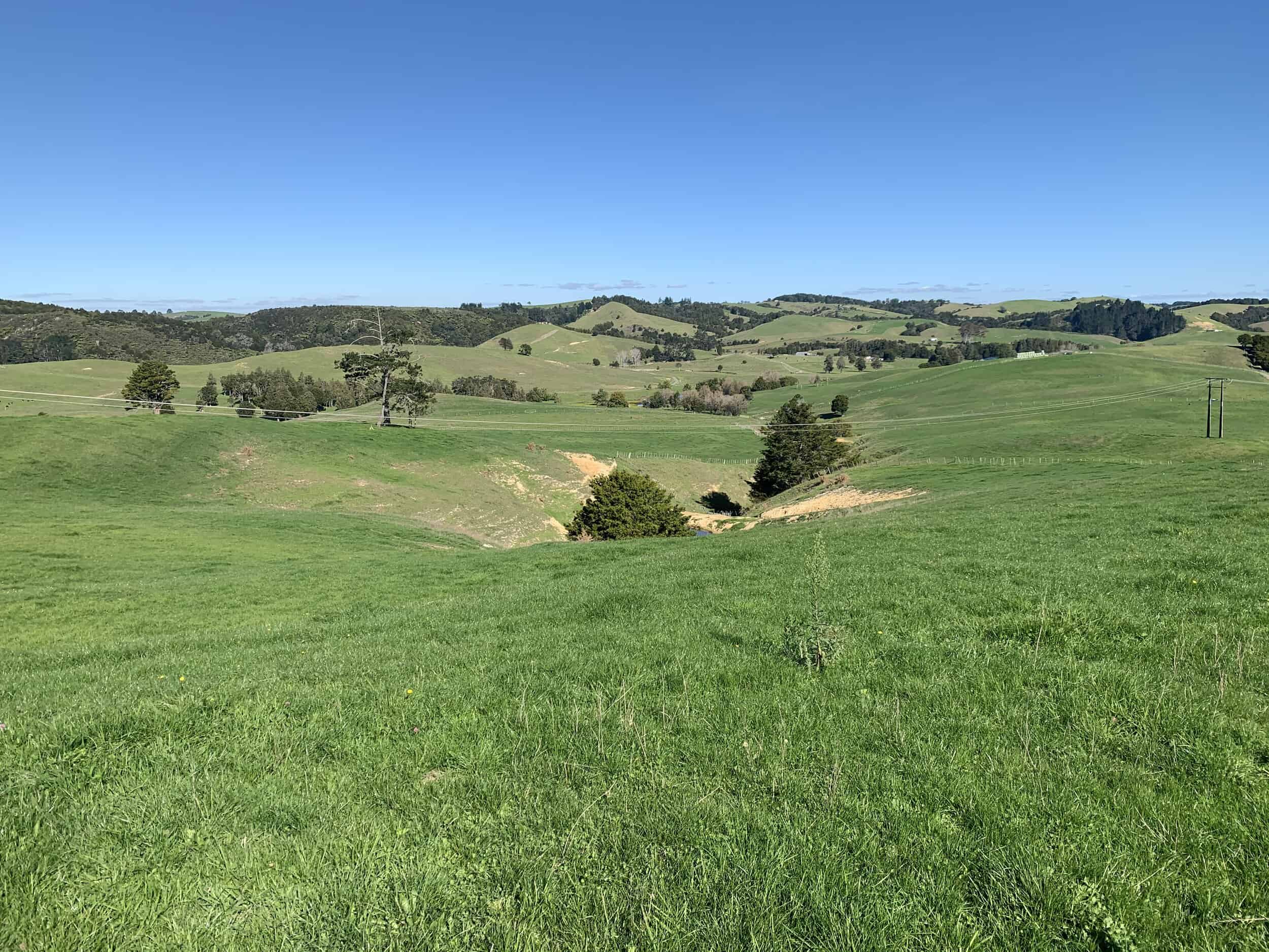 Plein Air - Trees and Fields - Lesson Notes - Samuel Earp