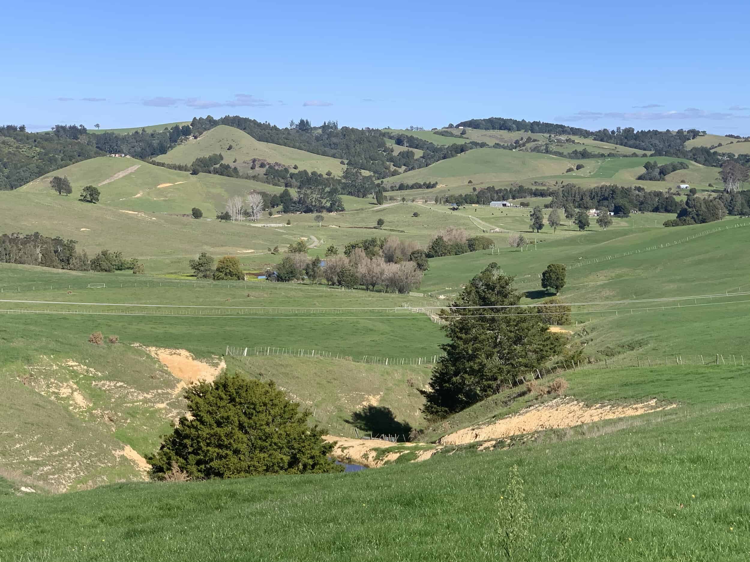 Plein Air - Trees and Fields - Lesson Notes - Samuel Earp