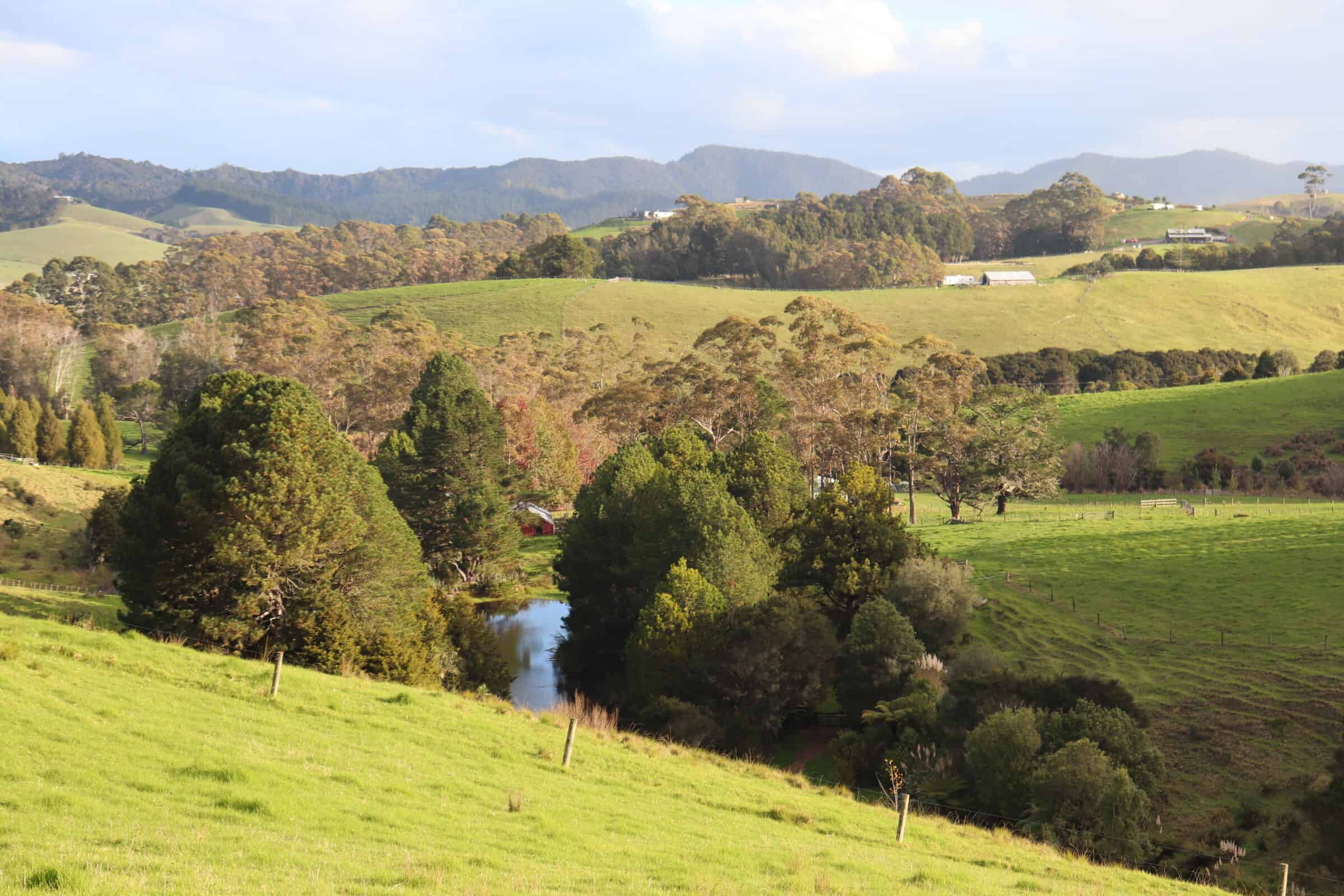 Trees and Rolling Hills - Lesson Notes - Samuel Earp
