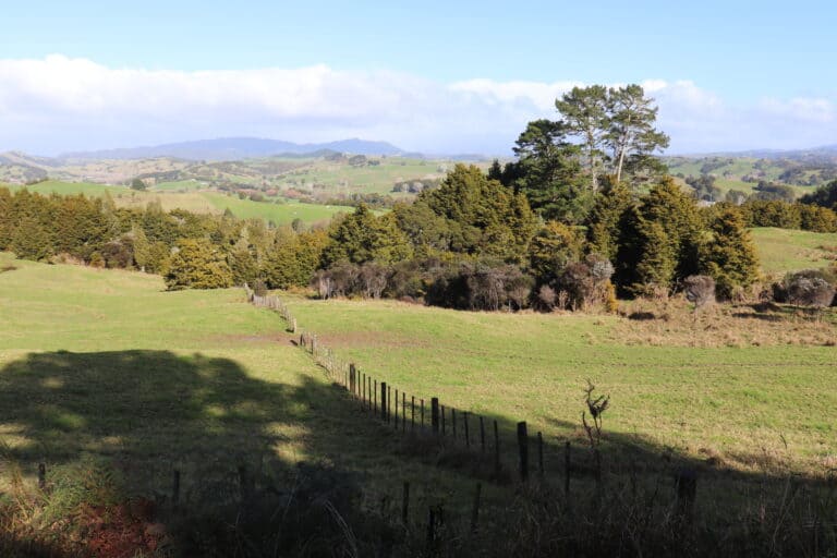 How to Paint Realistic Grass For Beginners