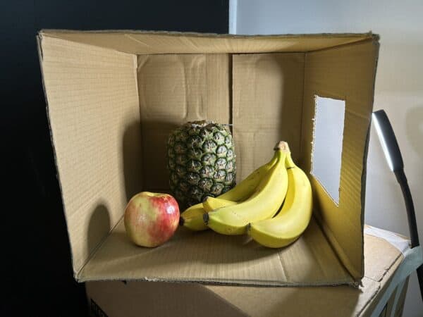 How to Paint a Still Life in 9 Steps