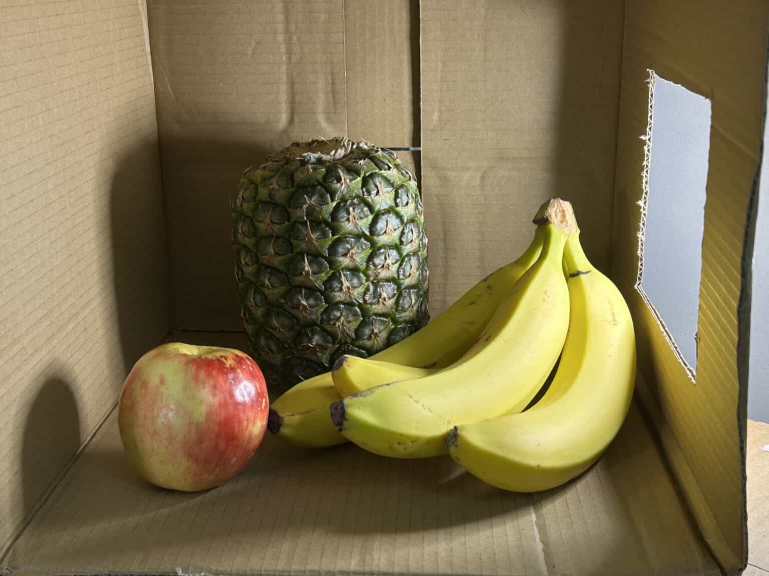 How to Paint a Still Life in 9 Steps
