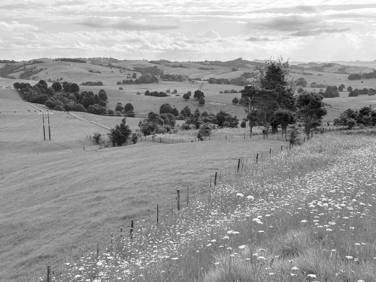 Painting Better Landscapes: Mastering Light and Shadow