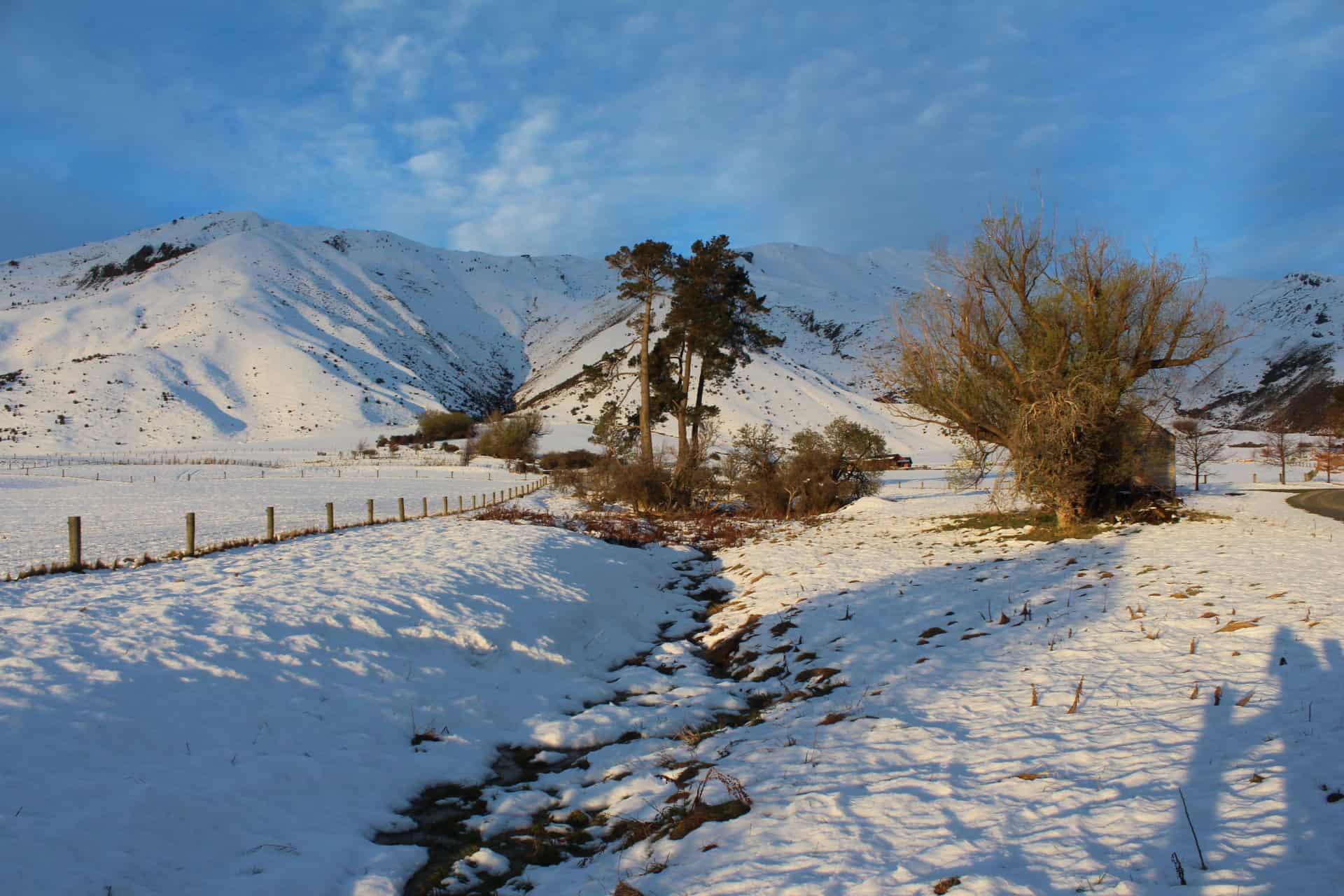 Painting Snow: Tips for Realistic Winter Scenes - Samuel Earp