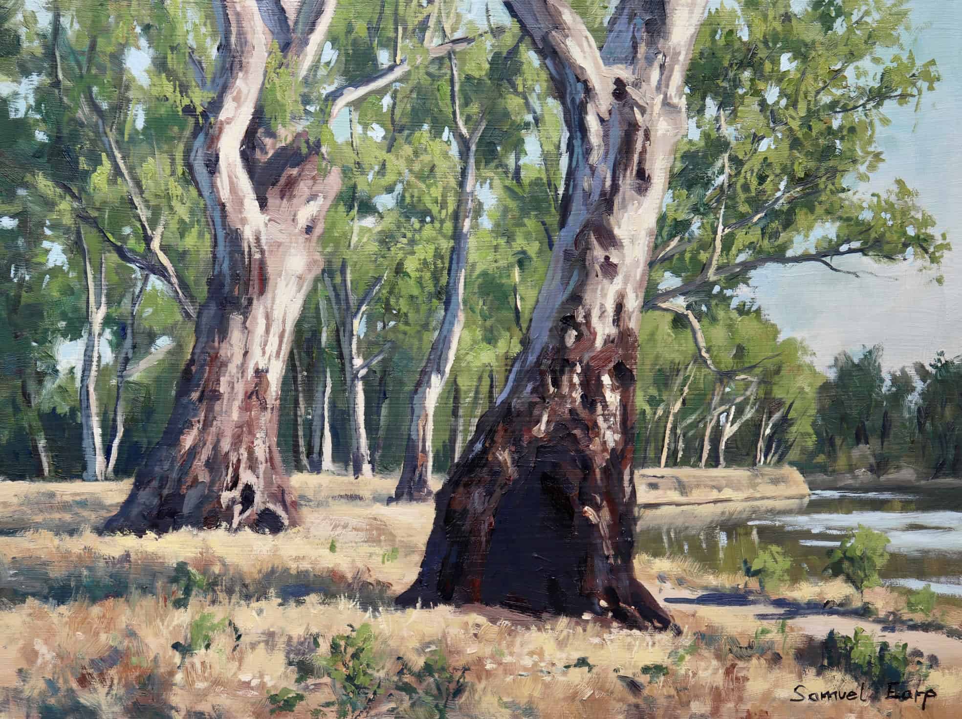 How to Paint Gum Trees: Murray River Oil Painting Guide
